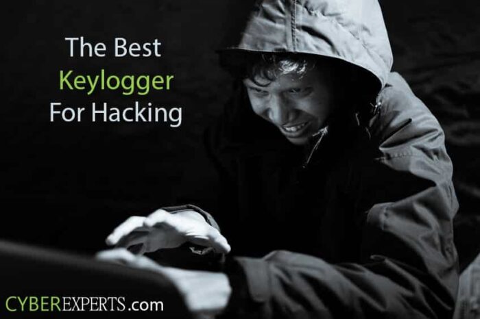Best Keylogger for Hacking (Top 13) - CyberExperts.com