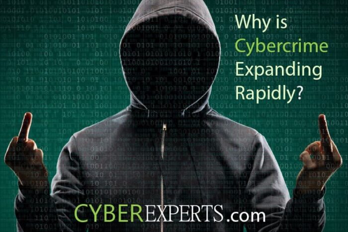 Top 6 Reasons Why is Cybercrime Expanding Rapidly - CyberExperts.com